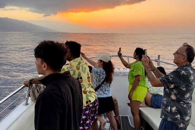 2 hour Lahaina Sunrise Whale Watch - The Wildlife & the Guaranteed Sightings