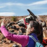 2-Hour Llama Hike - The Value of a Guided Small Group