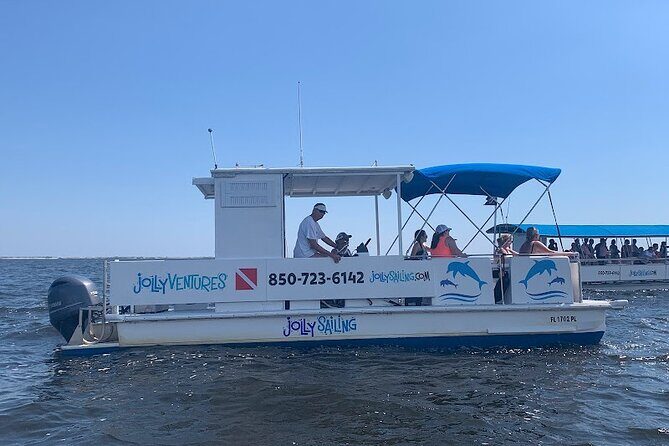 2 Hour Private Dolphin Cruise & Bay Tour - What to Expect from the Tour