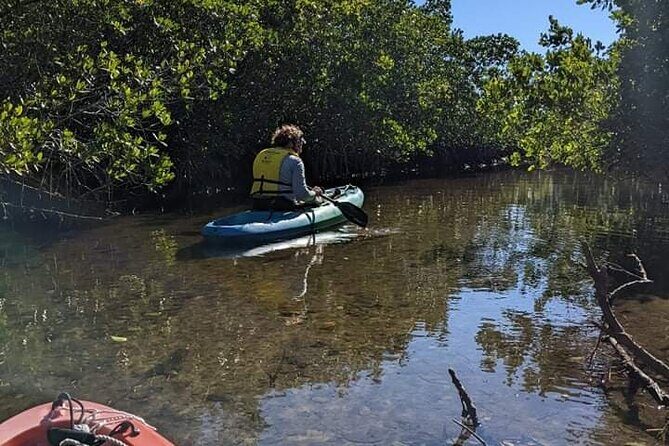 2 Hour Tandem Kayak Tour (Price for 2 People) - In-Depth Look at the Kayak Tour Experience