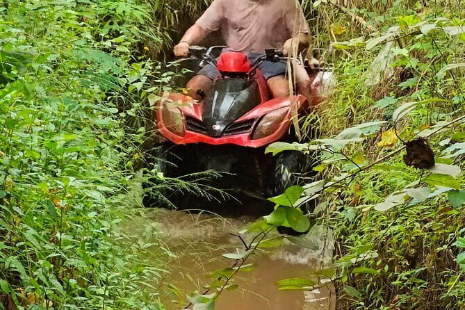 2 Hours Bali ATV Ride with Lunch Experience - What Travelers Say and Why It Matters