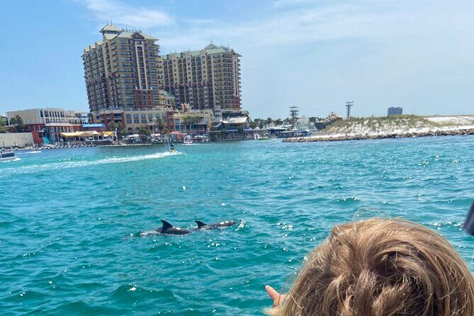 2 Hours Guided Dolphin Tour in Florida - The Practicalities: Booking, Pricing, and Tips