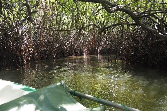 2 hours private Madu River Safari - Who Will Love This Tour?