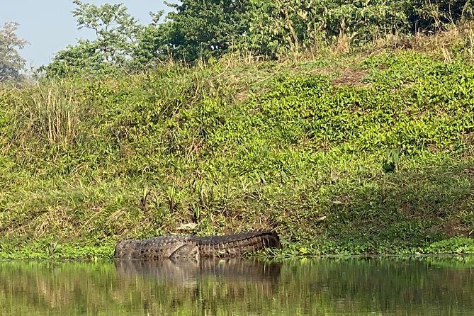 2 Nights 3 Days Chitwan Safari Tour from Kathmandu or Pokhara - Pricing, Value, and Practical Tips