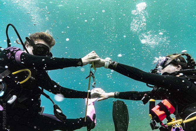 2 Tank Private SCUBA Party Diving Charter from Waikiki Hawaii - The Underwater Experience
