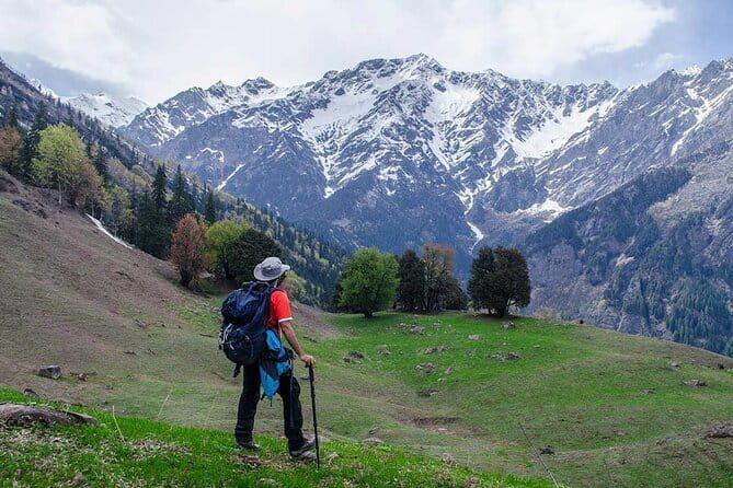3 Day Camping Trip to Binsar Wildlife Sanctuary - Who Will Love This Trip?