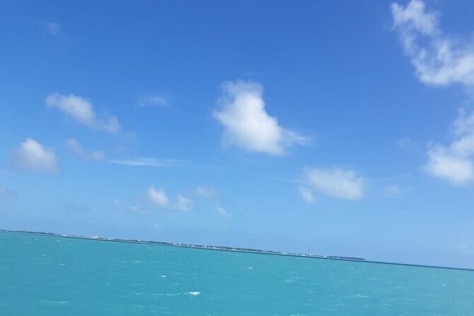 3-Day Miami Beach with Miami Bus/Boat Tour, Everglades and Keywest boat Tour - Day 3: Trip to Key West with Snorkeling