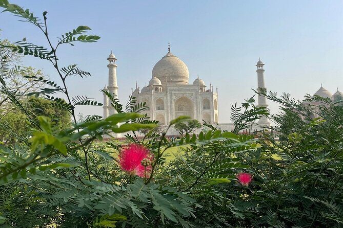 3-Day Taj Mahal Sunrise, Delhi & Ranthambore Tiger Safari tour - Exploring the Itinerary in Detail