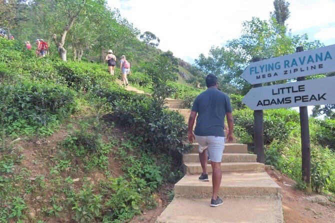 3 Days Highlights Of Kandy,Sigiriya,Nuwaraeliya Ella & Udawalawe (All Inclusive) - The Itinerary in Detail: What You Can Expect