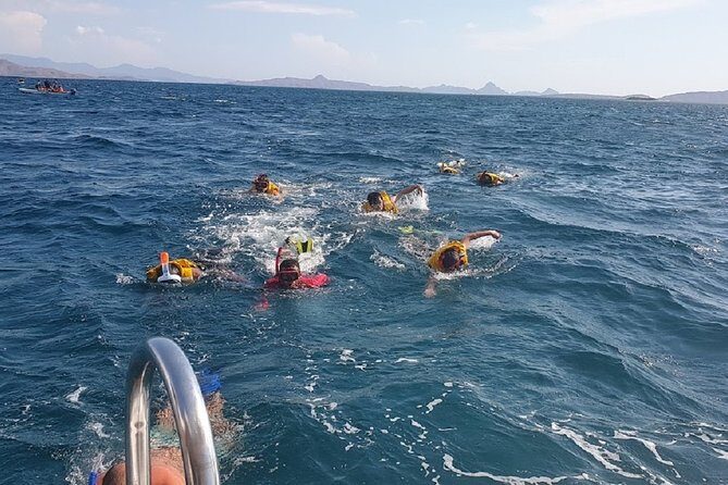 3 Days Komodo island Tour - Day 2: Islands, Dragons, and Snorkeling