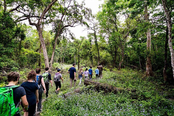 3-Days Tower Night Stay inside Jungle Tour - What Makes This Tour Stand Out?