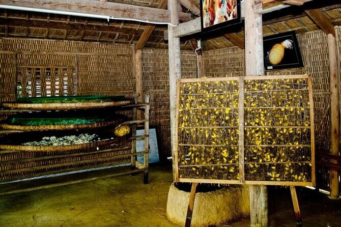 3-Hour Cultural Tour in Hoi An Silk Village with Local Meal - Who Will Enjoy This Tour?