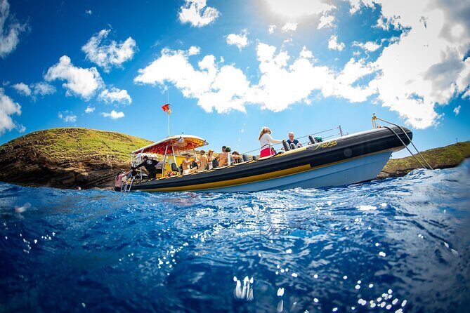 3-Hour Koa Kai Afternoon Adventure Snorkel - Pricing and Value