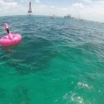 3 Hour Private Snorkeling in Marathon Florida - End of Trip and Return