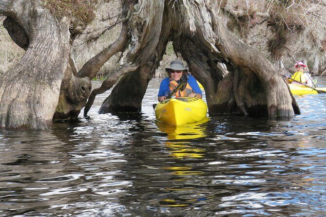 3 Hour Small Group Lake Norris Kayak Activity - Itinerary Breakdown: What to Expect on Your Paddle