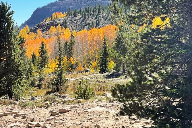3 Hours Off-Road Adventure - Why This Tour Is a Solid Choice