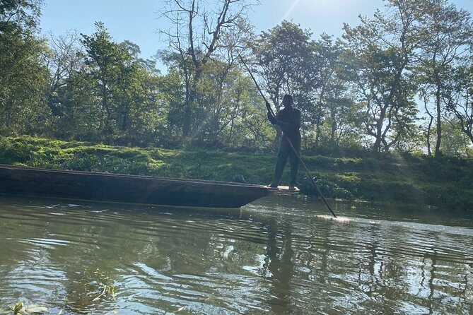3 Nights 4 Days Comfortable Chitwan Safari Tour - Why This Tour Offers Great Value