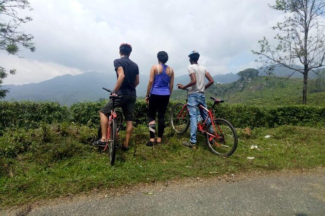 3 Temple Loop Cycling Tour from Kandy - What’s Included and What’s Not