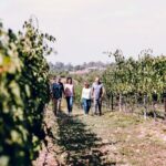 3-Winery Tour Includes Lunch from Paso Robles & Atascadero - The Transportation & Group Size: Comfort & Intimacy