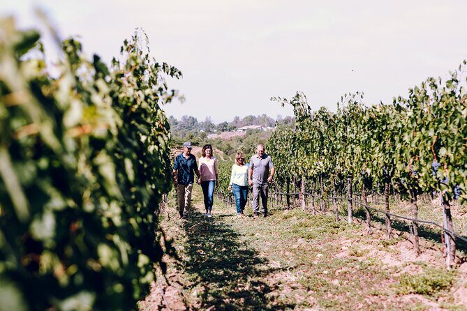 3-Winery Tour Includes Lunch from Paso Robles & Atascadero - The Transportation & Group Size: Comfort & Intimacy