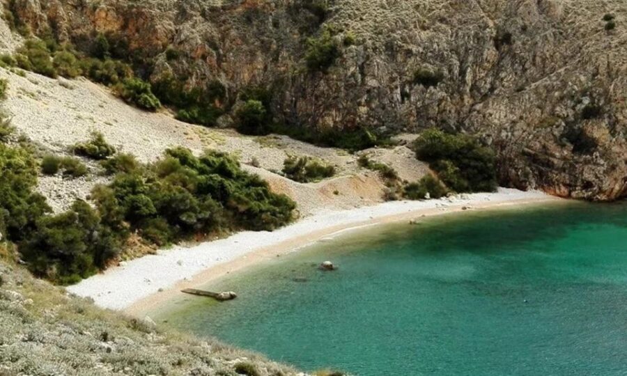 3,5h Wild Bays: Swim & Snorkel with Capt. Bobo (Public) - What to Expect from This Wild Bays Tour