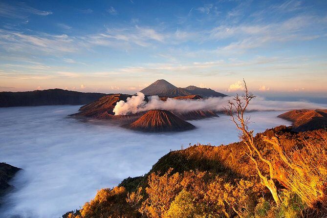 3Days - Adventure Bromo Ijen via Surabaya - Who Is This Tour Best For?