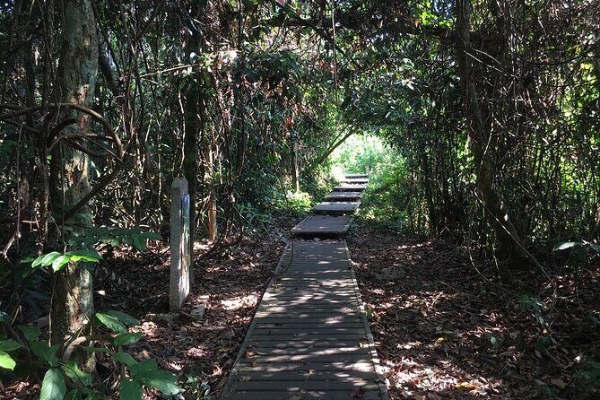 4-Day Jungle Experience in Taman Negara from Kuala Lumpur - Analyzing the Value and Experience