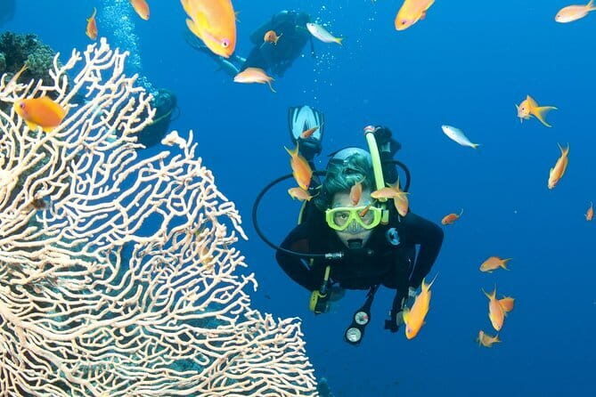 4-Day Nha Trang Scuba Diving - Cultural and Scenic Highlights