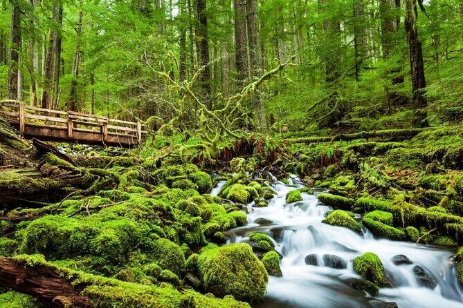 4-Day Olympic Backpacking - Sol Duc and the Seven Lakes Basin - What’s Included and What to Budget For