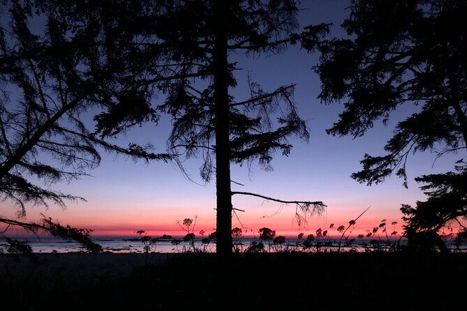 4-Day Olympic Backpacking Tour in North Coast - Authentic Experiences and Unique Highlights