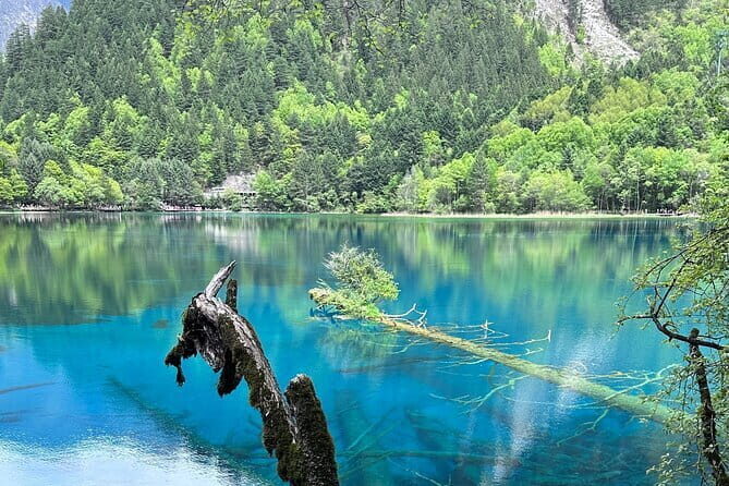 4-day tour of Jiuzhaigou Valley Scenic and Historic Interest Area - Practical Aspects and What They Mean for You