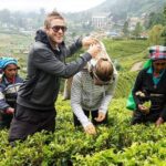 4 Day Tour to Kandy Nuwara Eliya Ella & Udawalawe Safari From Negombo - Who is This Tour Best For?