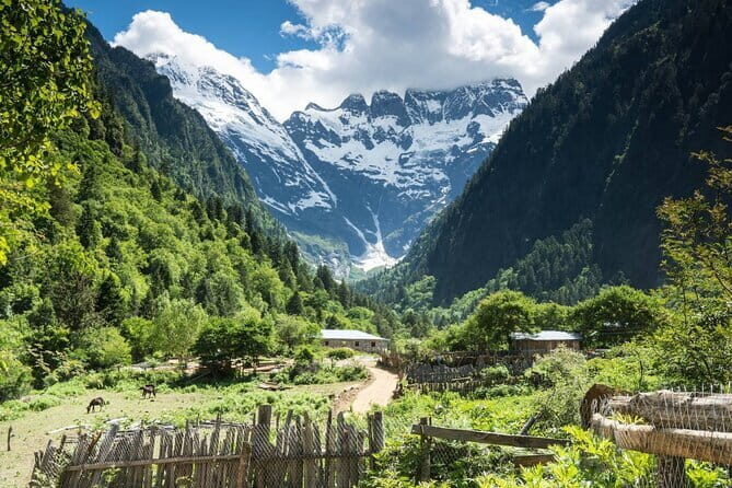 4 Day Yubeng Village Hiking Tour from Shangri La - Detailed Review of the Itinerary and Experiences