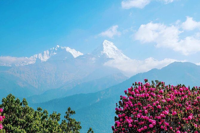 4 Days Poon hill trekking from Pokhara - The Itinerary in Detail
