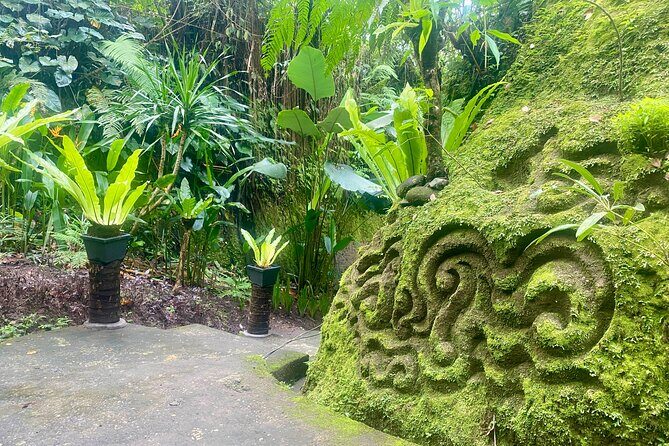 4 Easy Access Waterfalls Private Tour - Why This Tour Offers Real Value