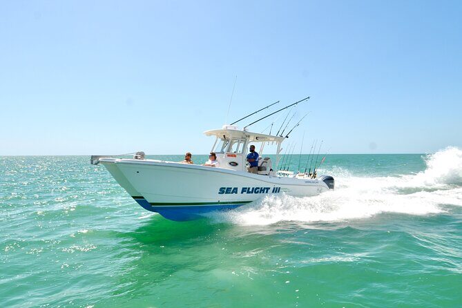 4 Hour Deep Sea Split Charter with Experienced Captain - Analyzing the Value