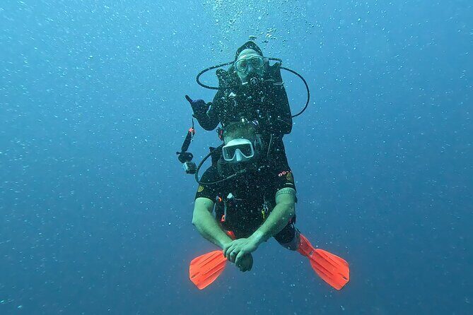4 Hour Guided Scuba Diving Adventures in Waikiki - What to Expect on the Tour