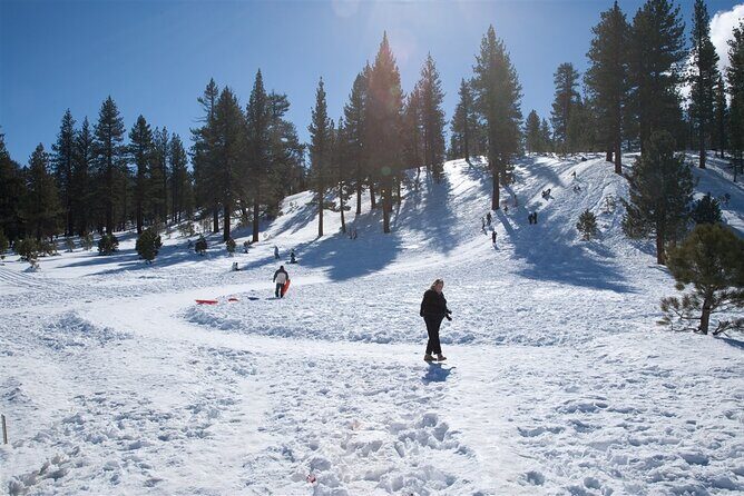 4 hour Vegas Winter Adventure: Mt. Charleston Snow Day - The Practical Side: What to Expect and Consider