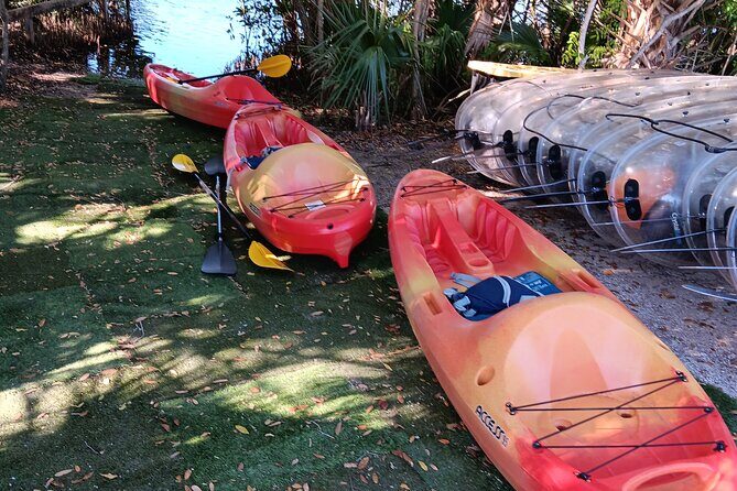 4 Hours Fishing Kayak Rentals - Discovering the Indian River Ecosystem