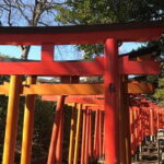 4 Hours Private Yanaka Town Tour - Nezu Shrine: Serenity in Green
