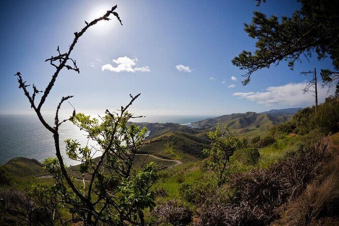 4 Hours Tour Beyond the Golden Gate Bridge Marin Headlands and Sausalito - What Makes This Tour Stand Out?
