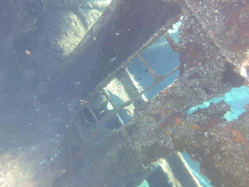 4 Jewels of Zadar, Dugi otok, sunken ship - Half day - Authentic Experiences From Travelers