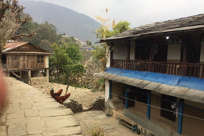 4 Nights 5 Days Easy Trek from Pokhara Valley - Starting Point: Pokhara
