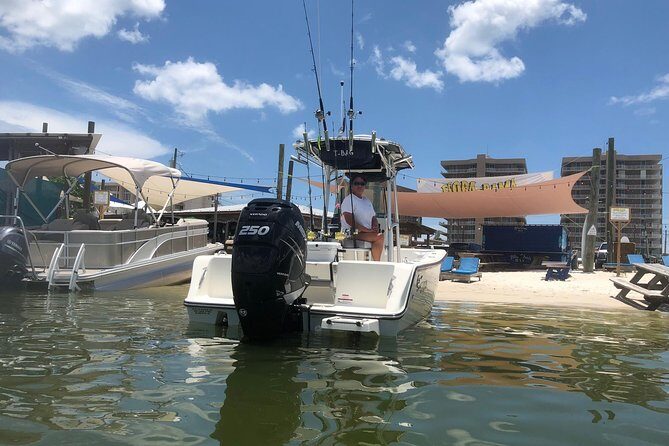4 or 6-Hour Private Island Hopping Cruise from Orange Beach - Who Should Consider This Tour?
