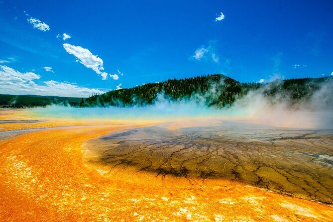 4 Person Full-Day PRIVATE Yellowstone Tour in a Raised Roof Van- Picnic Lunch - Authentic Guest Perspectives