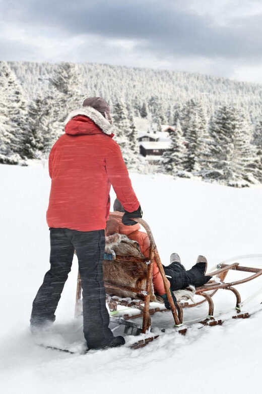 4hr Dog Sledding Trip on Finnmarksvidda - Who Should Consider This Tour?