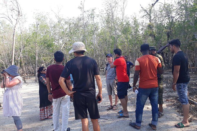 5-Day Sundarban Tour: The Wild Life Adventure - Detailed Breakdown of the Itinerary