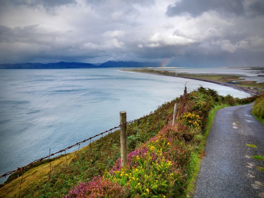 5-Day Tour of West Ireland: Blarney Stone & Cliffs of Moher - What Makes This Tour Valuable?