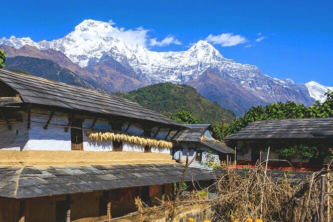 5 Days Ghorepani Poonhill Trek - Who Is This Trek Best For?