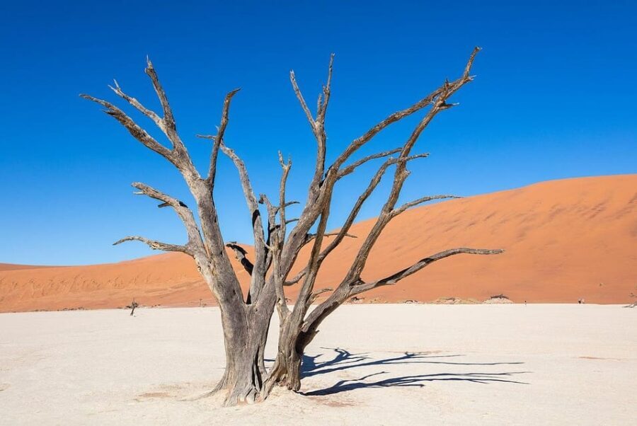 5 Days Sossusvlei and Swakopmund Tour - Shared Shuttle - What makes this tour stand out?